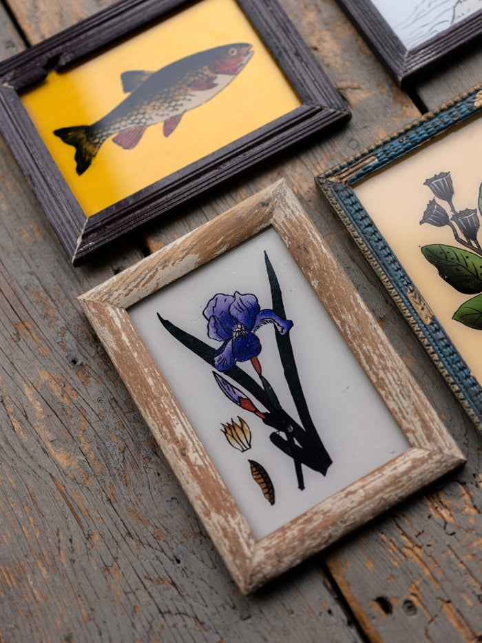 Assorted picture frames store
